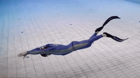Pool Diving GIF by Molchanovs - Find & Share on GIPHY