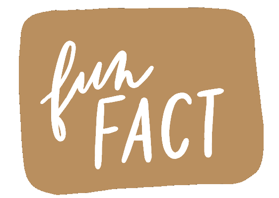 Fact Sticker for iOS & Android | GIPHY