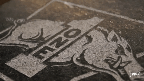 Razorback GIF by Arkansas Razorbacks - Find & Share on GIPHY