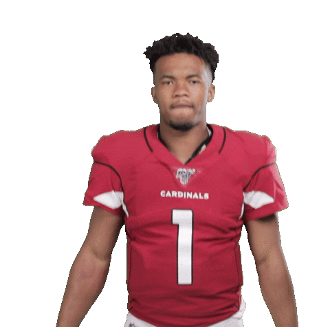 Arizona Cardinals Football Sticker by NFL for iOS & Android | GIPHY