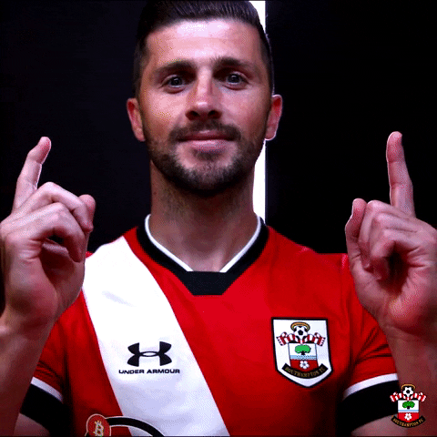 Premier League Football GIF by Southampton FC - Find & Share on GIPHY