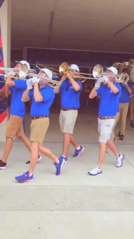 University Of Florida Uf GIF by University of Florida College of ...