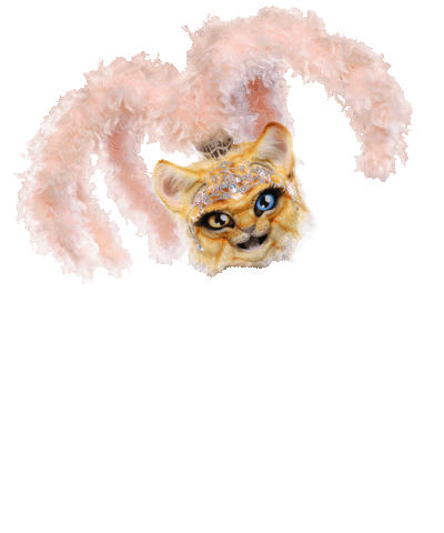 Kitty Sticker by The Masked Singer for iOS & Android | GIPHY