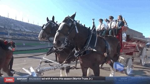 Car Racing Sport GIF by NASCAR - Find & Share on GIPHY