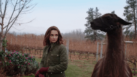 Go Rachael Leigh Cook GIF by Hallmark Channel - Find & Share on GIPHY