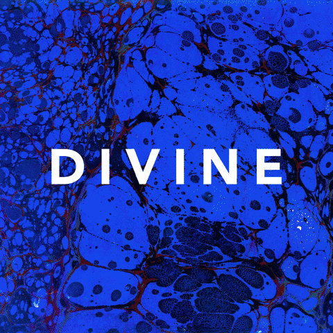 DIVINE GIF - Find & Share on GIPHY
