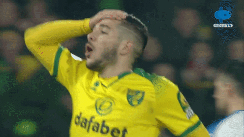 Norwichcity Ligainggris GIF by MolaTV - Find & Share on GIPHY