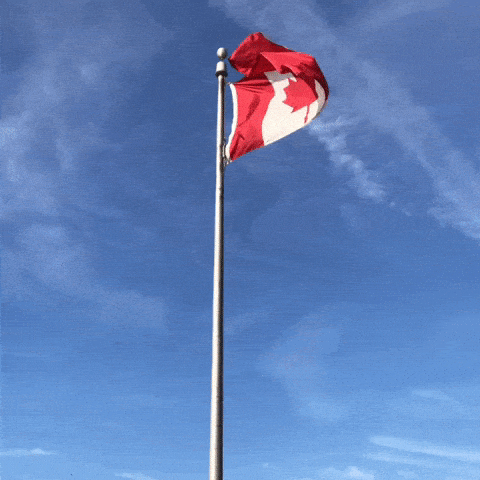 Canada Flag GIF by Casol - Find & Share on GIPHY