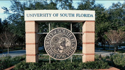 Usf Go Bulls GIF by University of South Florida - Find & Share on GIPHY