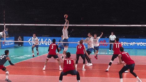 GIF by Volleyball World - Find & Share on GIPHY