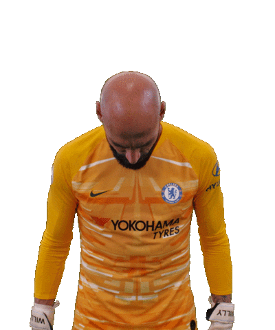 Premier League Sport Sticker by Chelsea FC for iOS & Android | GIPHY