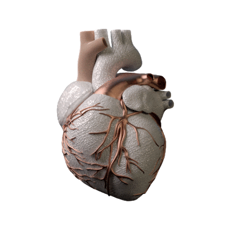 Heart Dentistry Sticker by KTKCouture for iOS & Android | GIPHY