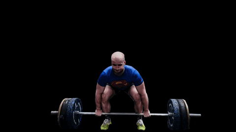 Gym Crossfit GIF by sejmsfoto - Find & Share on GIPHY