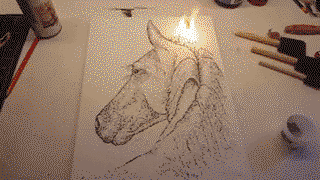 Gunpowder GIF - Find & Share on GIPHY