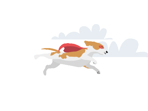Dog Fly Sticker by JAPHY for iOS & Android | GIPHY