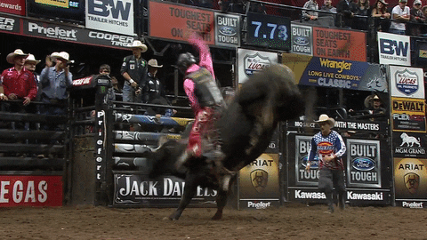 Grave Digger Pro Bull Riders GIF by Professional Bull Riders (PBR ...