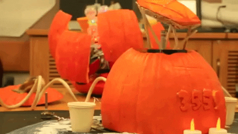 Great Pumpkin Halloween GIF by Mark Rober - Find & Share on GIPHY