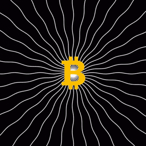 Crypto Cryptocurrency GIF - Find & Share on GIPHY