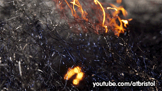 Metal GIF - Find & Share on GIPHY