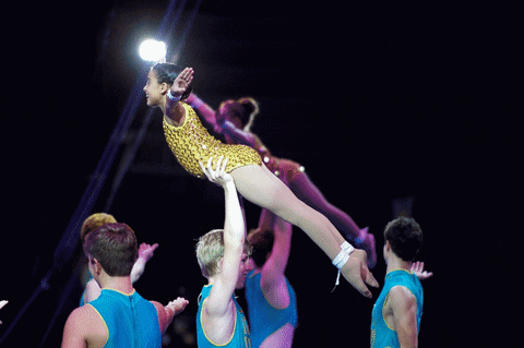 Circus GIF - Find & Share on GIPHY