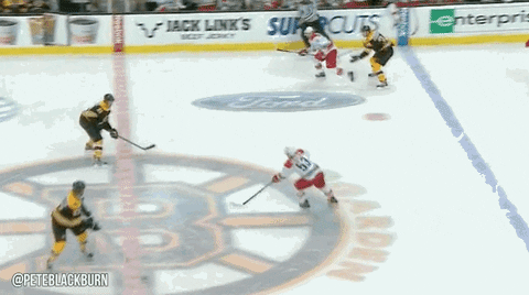 Nhl Hit GIF - Find & Share on GIPHY