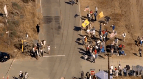 Protest GIF - Find & Share on GIPHY