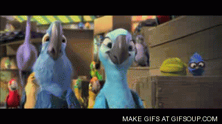 Rio GIF - Find & Share on GIPHY