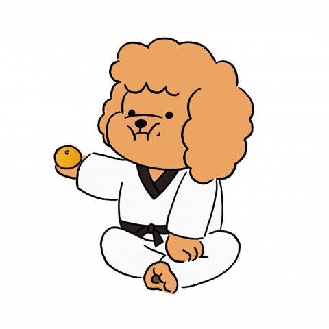 Fight Dog GIF - Find & Share on GIPHY