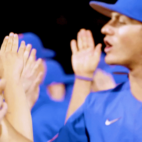 Florida Gators GIFs - Find & Share on GIPHY