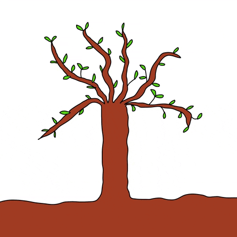 Baum Blatter GIF by Visutrainment - Find & Share on GIPHY