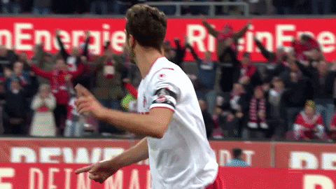 1 Fc Cologne Football GIF by 1. FC Köln - Find & Share on GIPHY