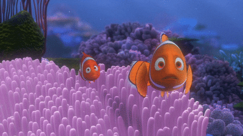 Finding Nemo GIF - Find & Share on GIPHY