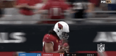 Arizona Cardinals Football GIF by NFL - Find & Share on GIPHY