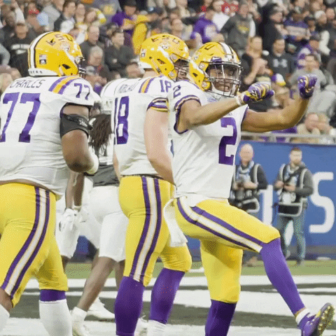 College Sports Football GIF by LSU Tigers - Find & Share on GIPHY