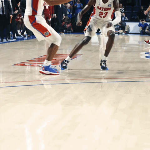 Excited Ncaa Sports GIF by Florida Gators - Find & Share on GIPHY
