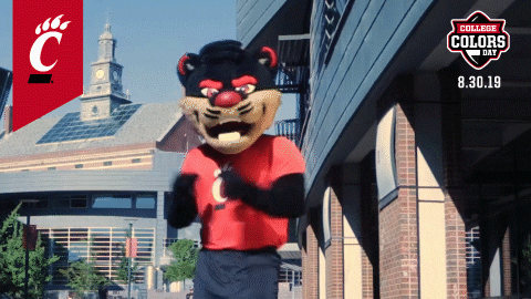 College Sports Cincinnati GIF by College Colors Day - Find & Share on GIPHY