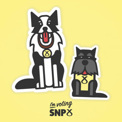 Scottish National Party Ge2019 GIF by The SNP - Find & Share on GIPHY