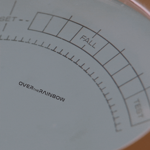 Over The Rainbow GIF by 1091 - Find & Share on GIPHY