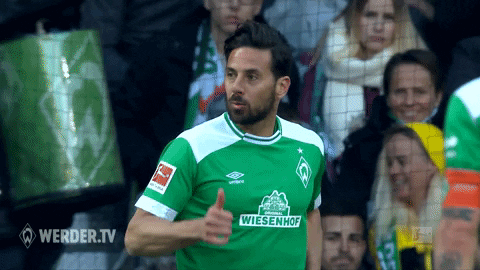 Soccer Yes GIF by SV Werder Bremen - Find & Share on GIPHY