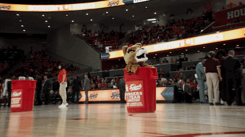Sasha Go Coogs GIF by University of Houston - Find & Share on GIPHY