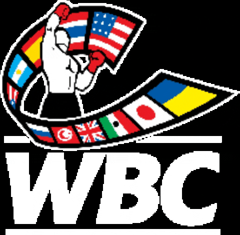 Box Champion GIF by wbcboxing - Find & Share on GIPHY