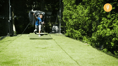 Baseball Catching GIF by CuriosityStream - Find & Share on GIPHY