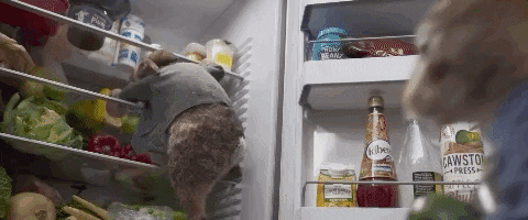 Hungry Snack GIF by Peter Rabbit Movie - Find & Share on GIPHY