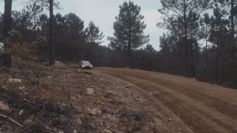 Wrc GIF by Yazeed Racing - Find & Share on GIPHY