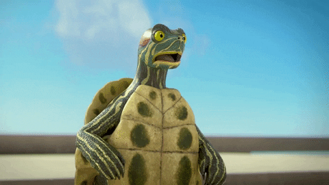 Sorry Turtles GIF by MightyMike - Find & Share on GIPHY