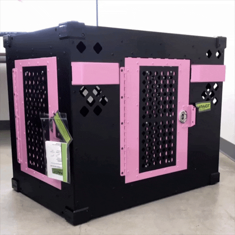 GIF by Impact Dog Crates - Find & Share on GIPHY