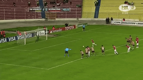 GIF by Sport Club Internacional - Find & Share on GIPHY