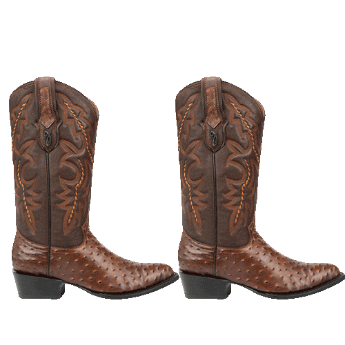 Botas Jaca Sticker for iOS & Android | GIPHY