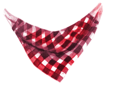 Photography Bandana Sticker by puppytales for iOS & Android | GIPHY