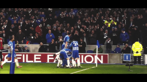 Ryan Knockaert GIF by Brighton & Hove Albion Football Club - Find ...